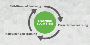 3 Key Elements in Learning Ecosystems and Why L&D Professionals Should Care