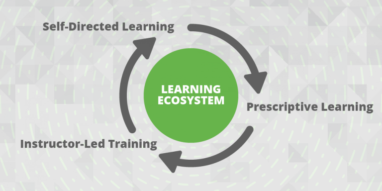 3 Key Elements in Learning Ecosystems and Why L&D Professionals Should Care